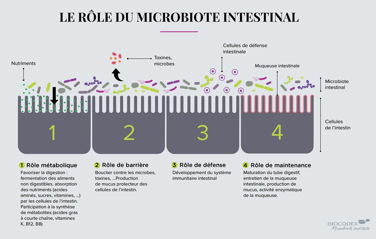 L’alimentation Microbiote : Le Gut Ou Mange Tes Greens – Tina Moeglin